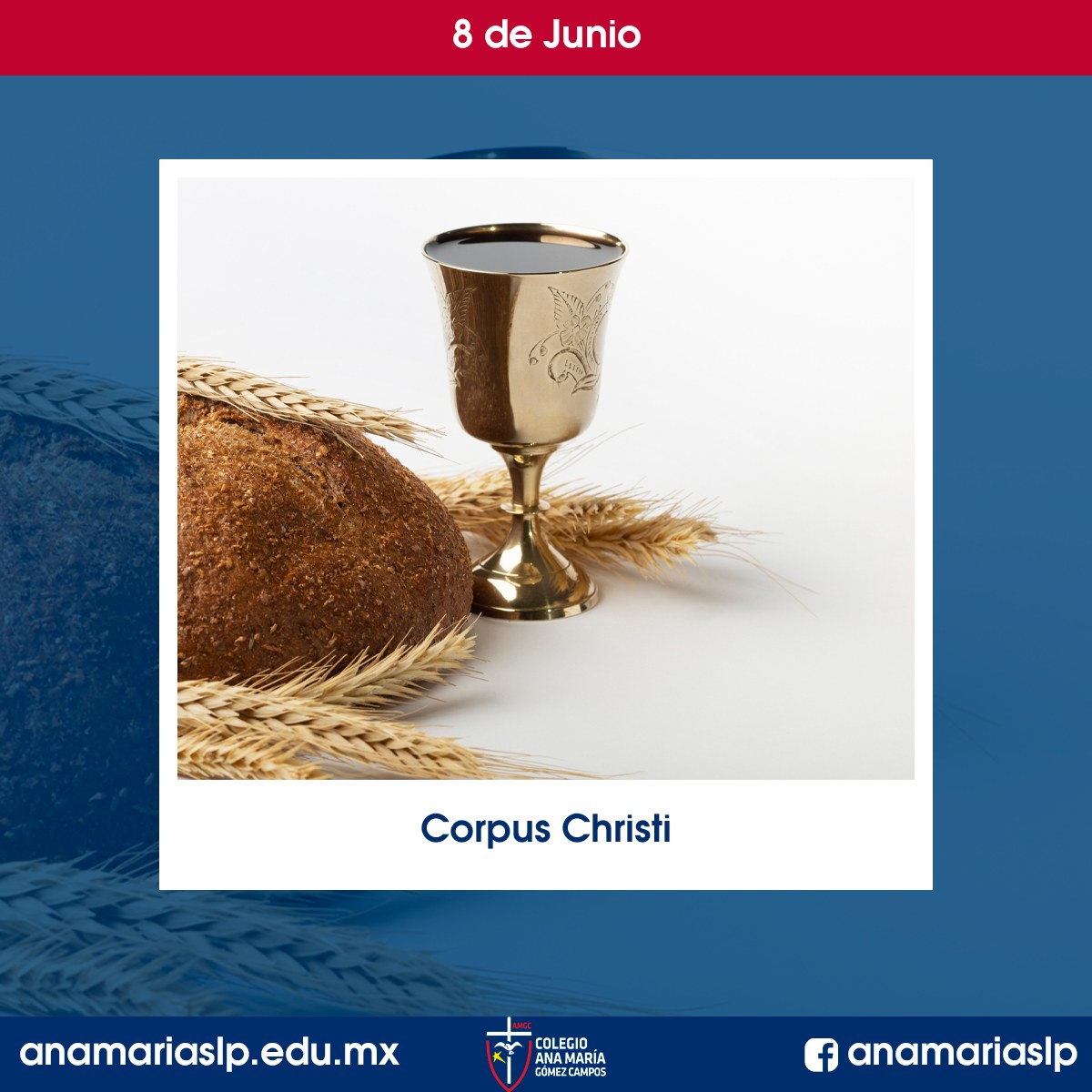 Corpus Christi | Col. Ana Maria Gomez Campos SLP